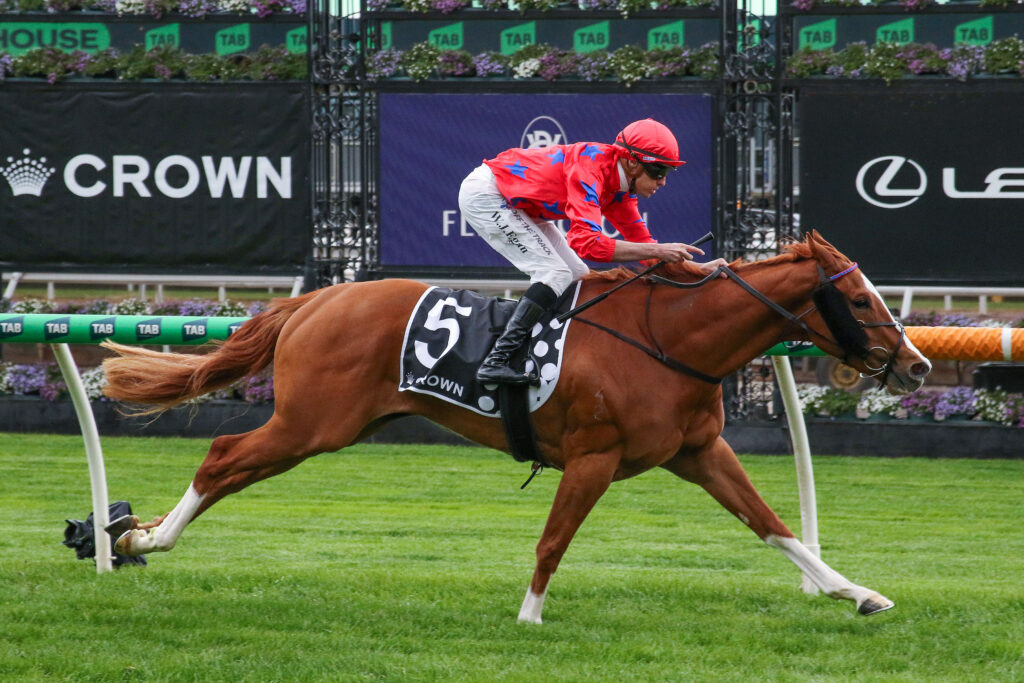 Sutton duo primed to go the distance in Australian Oaks | Just Horse Racing