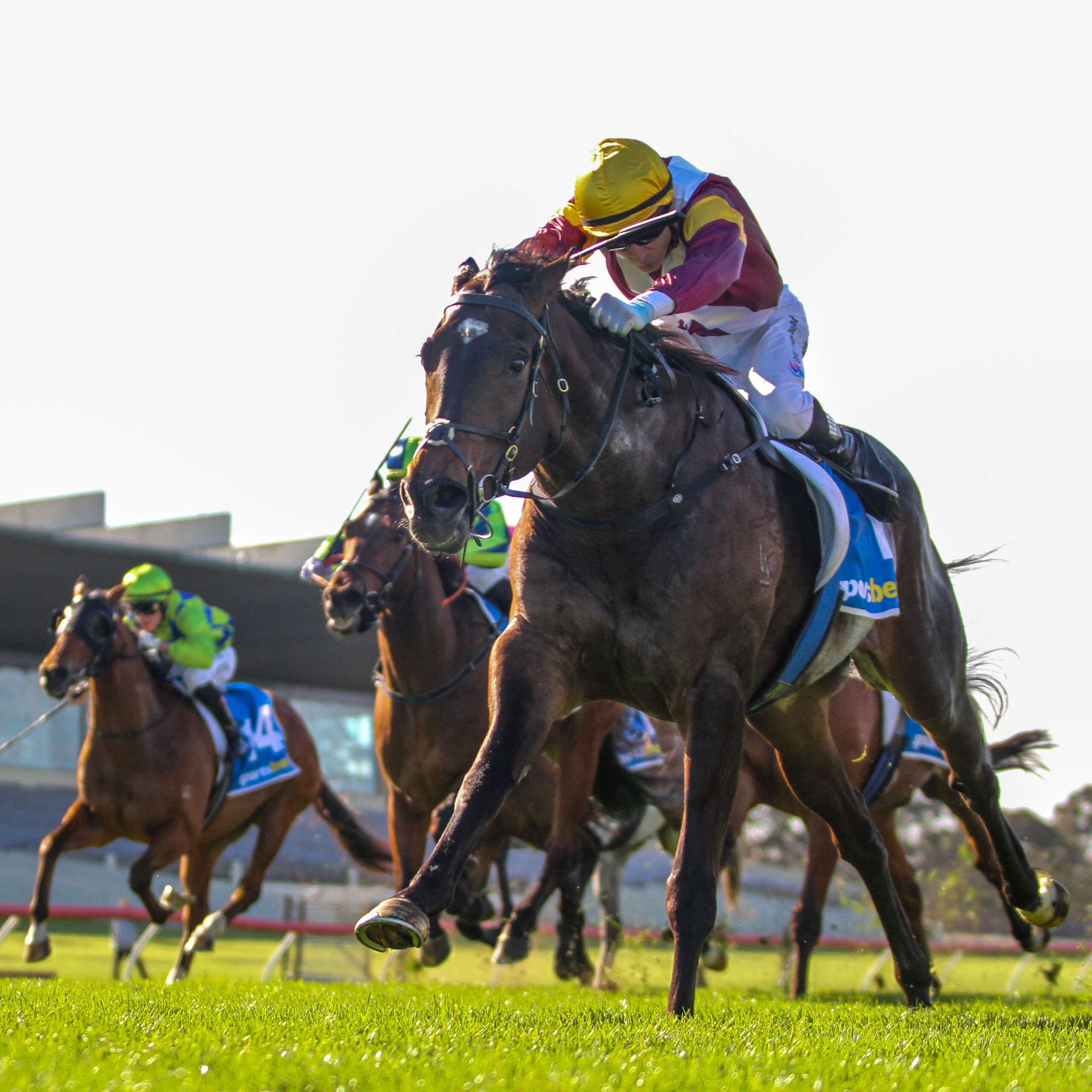 Evaporate soaks up narrow win in Sandown Stakes | Just Horse Racing