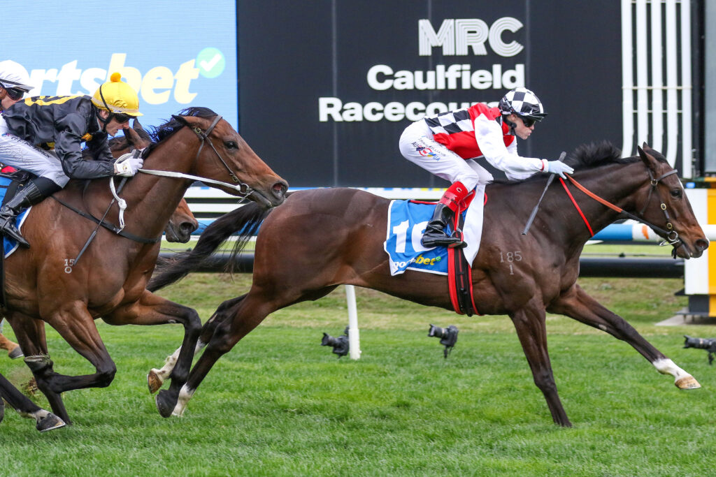Tough Sir Rupert Clarke Stakes win by Sepals | Just Horse Racing