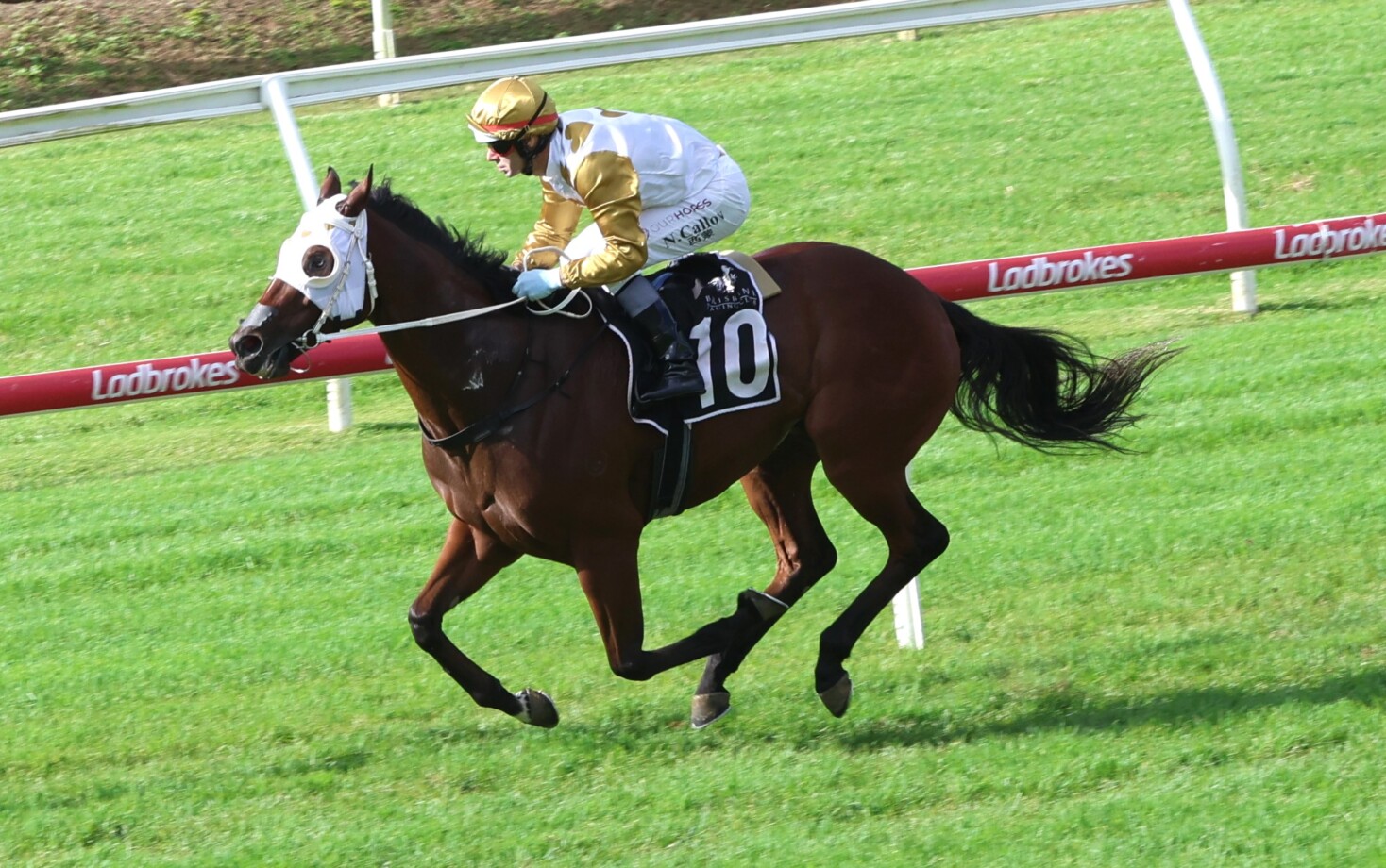 Tavs trounces opposition in Weetwood Handicap | Just Horse Racing