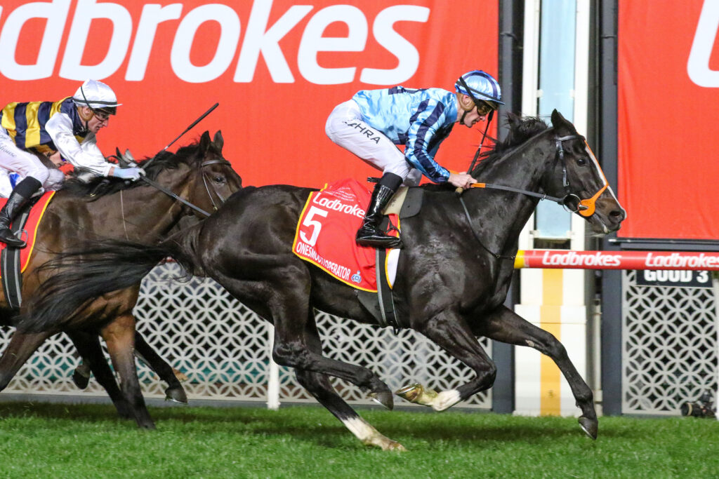 Time for Ellison to shine in Melbourne Cup | Just Horse Racing