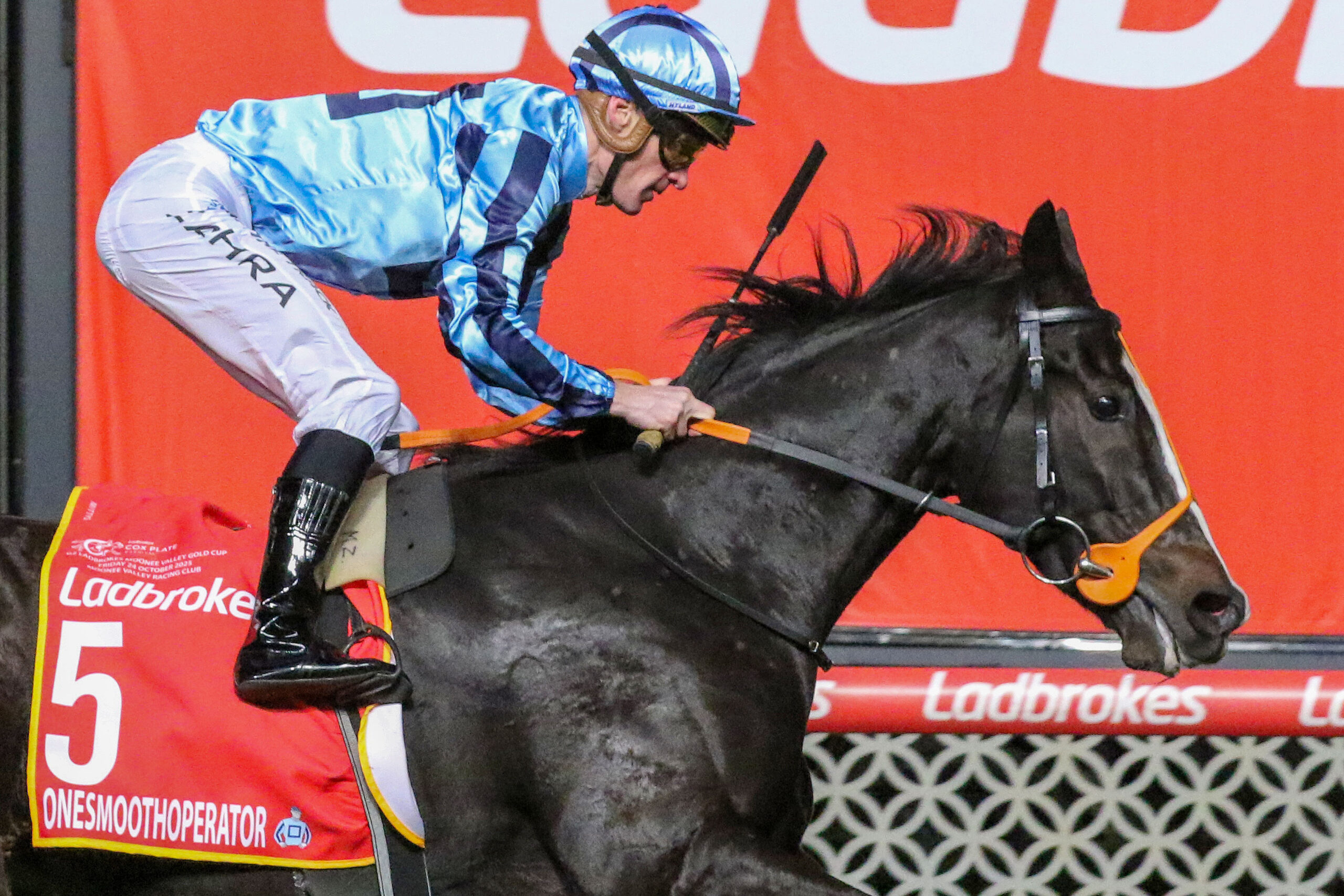 Onesmoothoperator confirms Melbourne Cup tilt | Just Horse Racing