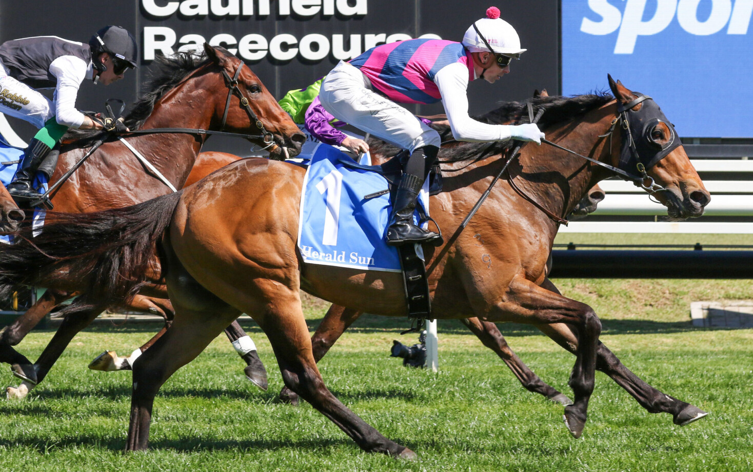 Race favourite scratched from Group 1 The Goodwood field | Just Horse ...