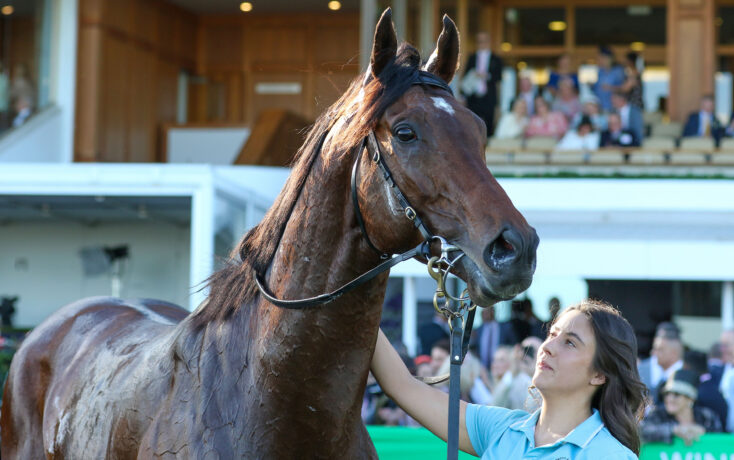 Sir Delius Camp: RV Acted as ‘Judge, Jury, Executioner’ | Just Horse Racing