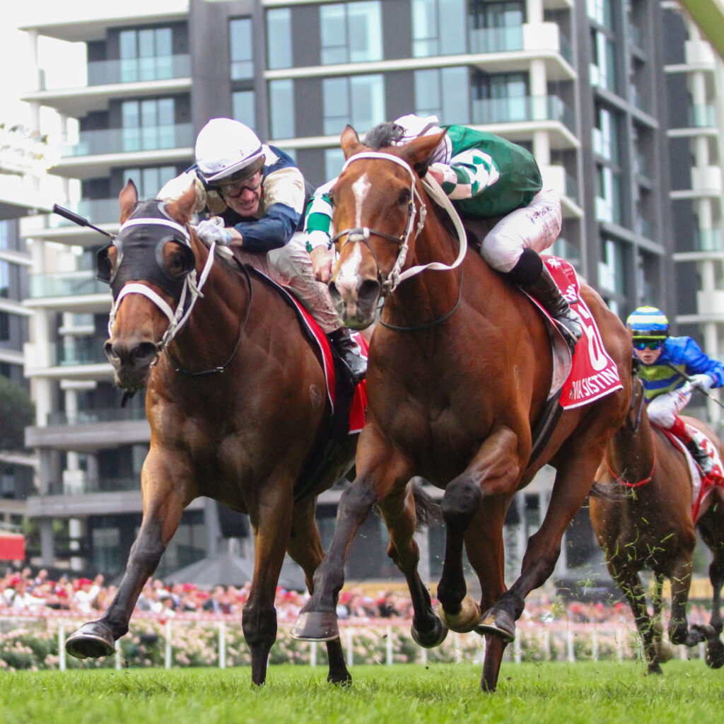 Via Sistina becomes a dual Cox Plate champion | Just Horse Racing
