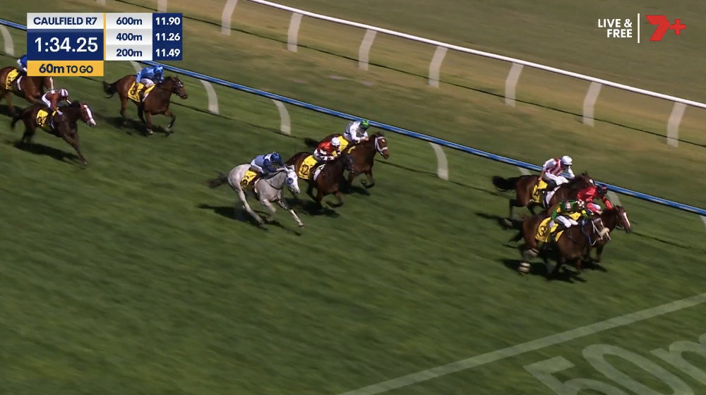 Thousand Guineas results and replay – (Ole Dancer) 2025 | Just Horse Racing