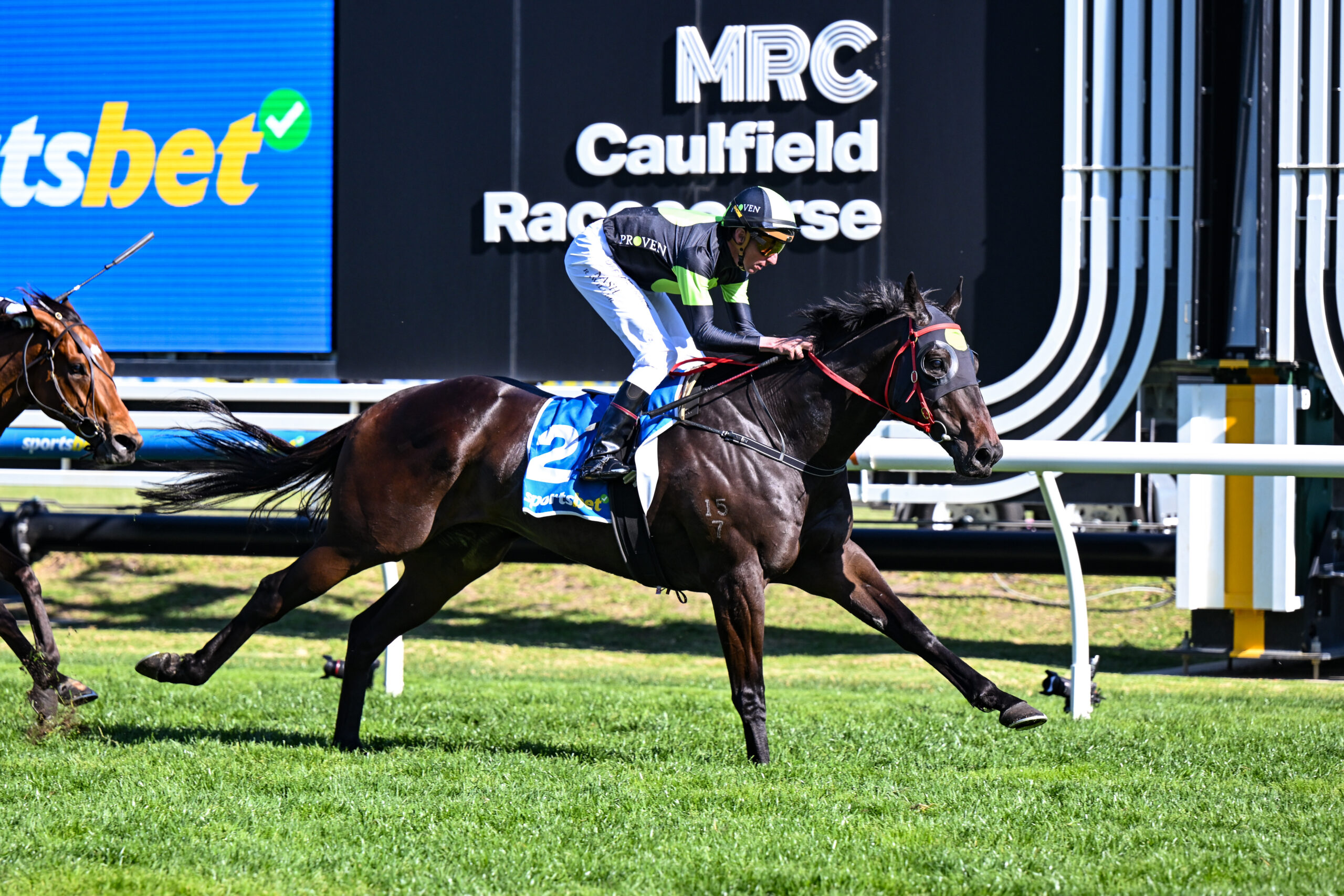 Caulfield Cup 2025 – What the Jockeys and Trainers said | Just Horse Racing