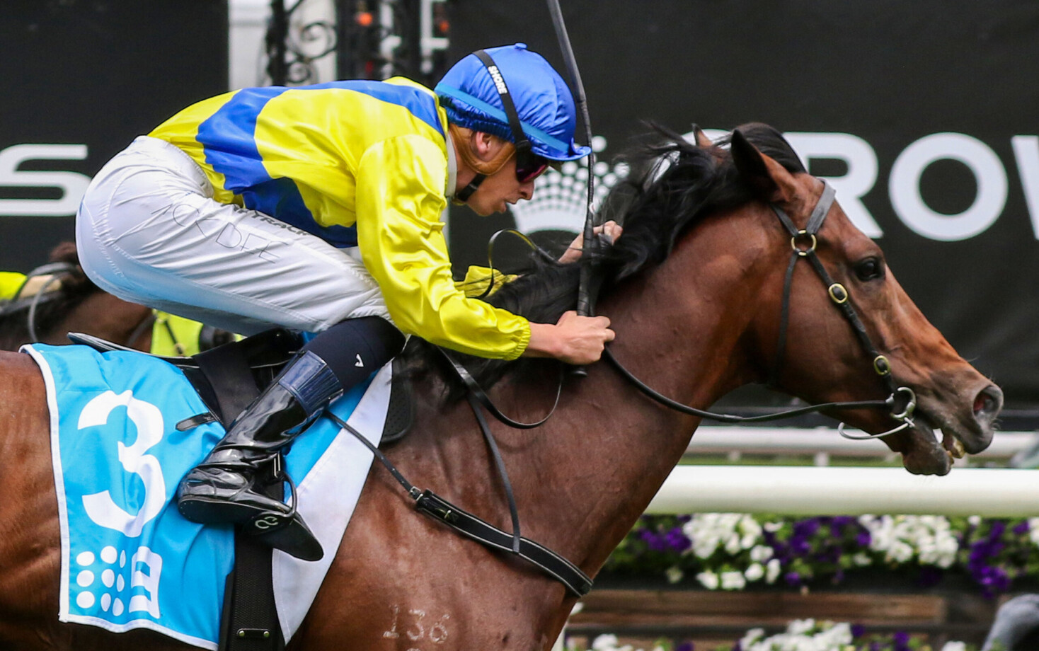 Lindsay Park after another G1 Australian Cup | Just Horse Racing
