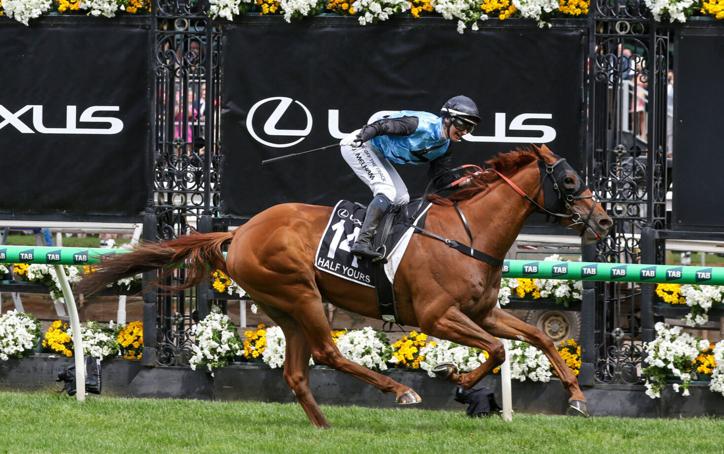 Sliding doors moment wins Cups double | Just Horse Racing