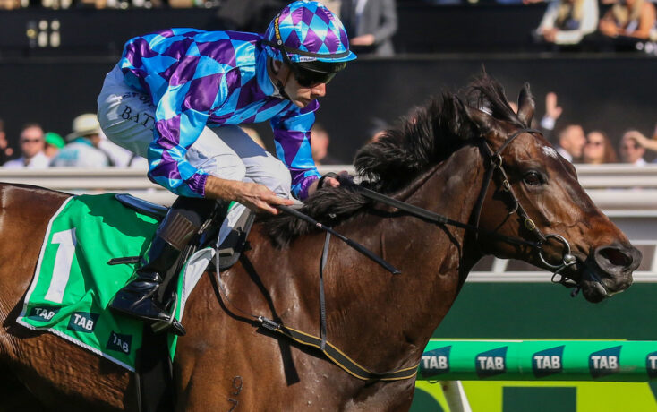 New challenge for Jenni in The Q22 | Just Horse Racing