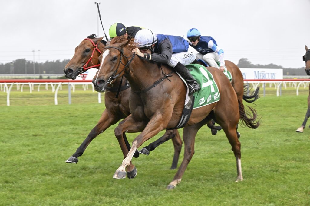 Glory in The Warra as Coyle makes right call | Just Horse Racing