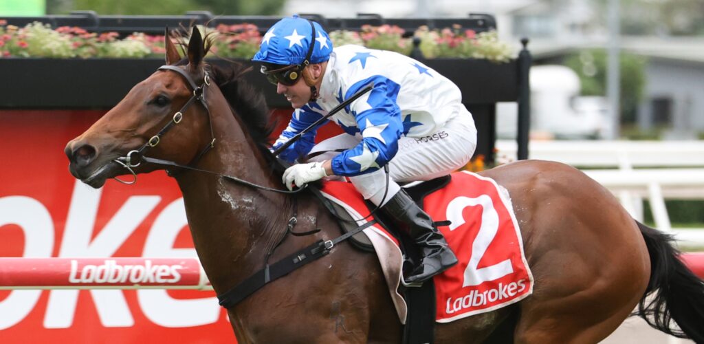 Boom Gollan horse heads odds in lottery Eye Liner Stakes betting | Just ...