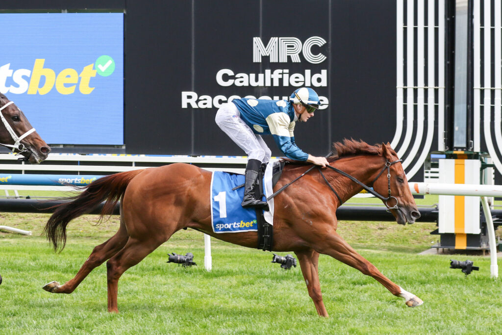 Jimmysstar heads odds in early Kingsford Smith Cup betting | Just Horse ...