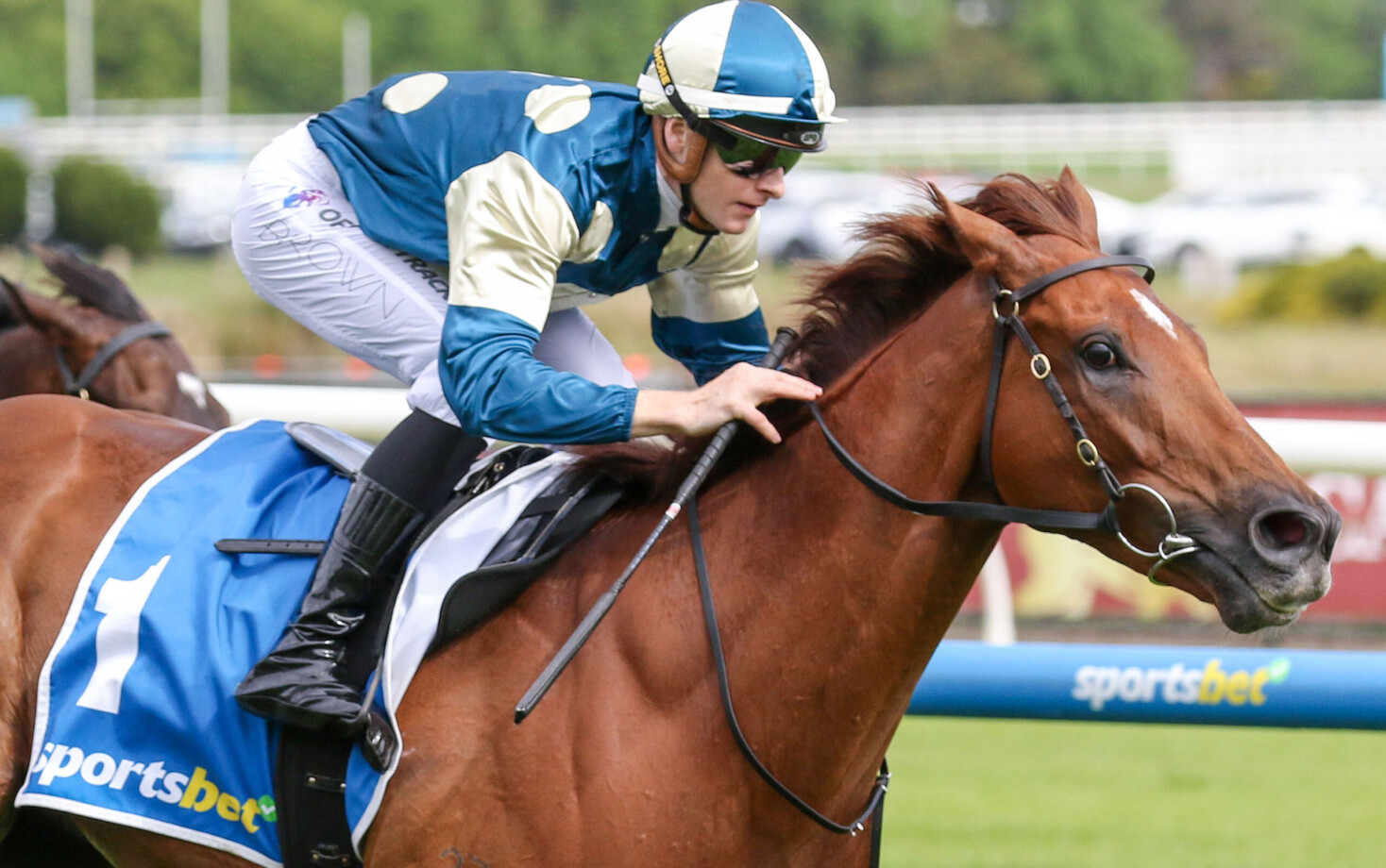 Jimmysstar out of Stradbroke Handicap contention | Just Horse Racing