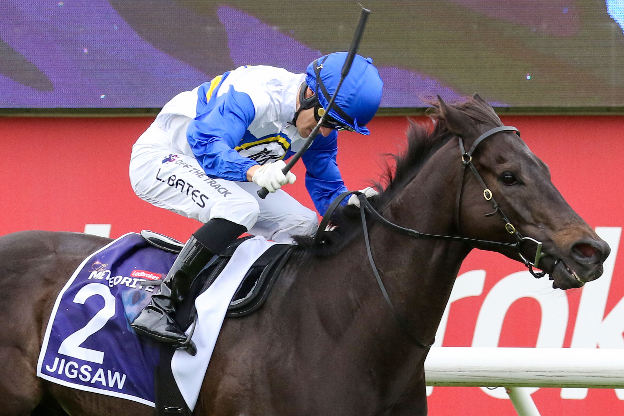Jigsaw in VOBIS Gold Sprint class drop | Just Horse Racing