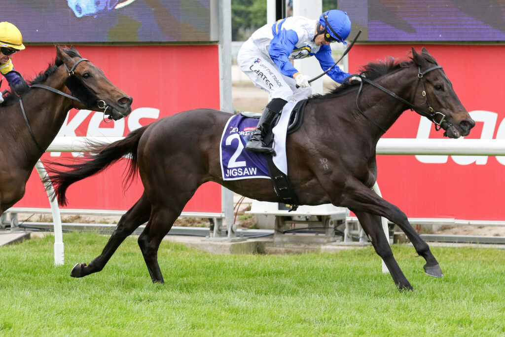 Aussie sprinter to take on NZ in Sistema Railway | Just Horse Racing