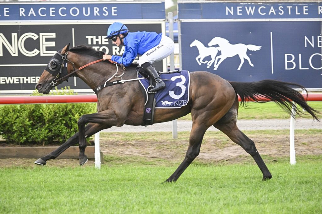 Green Spaces heads odds in open Australian Derby betting | Just Horse ...
