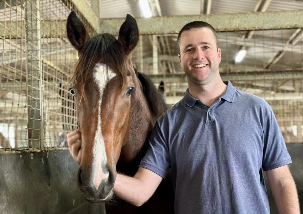 Tricky Atmosphere back at Ipswich | Just Horse Racing