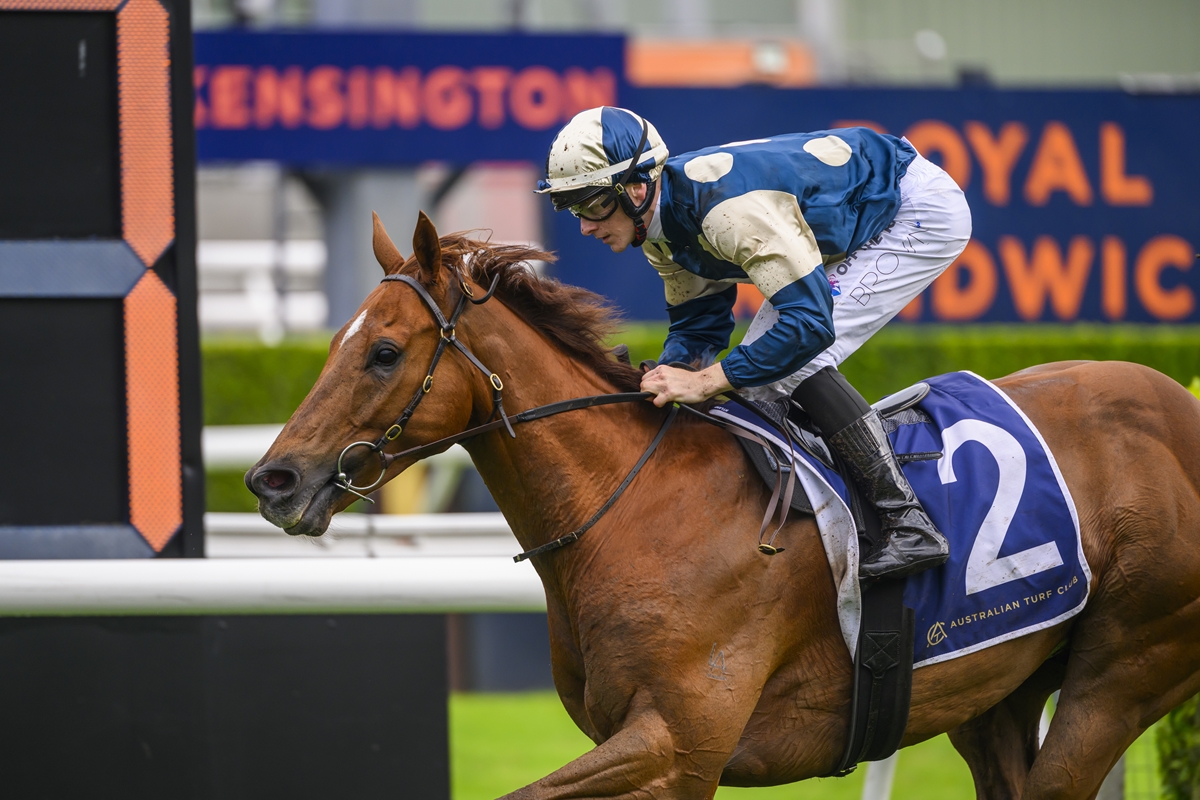 Doomben 10 000 Nominations 2026 Just Horse Racing