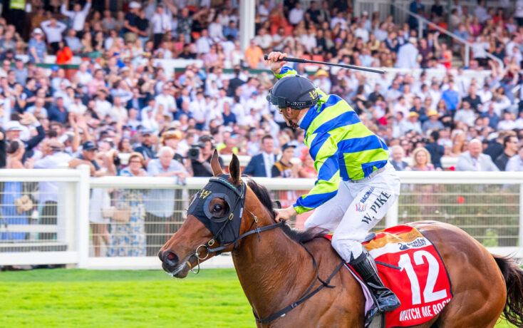 Grant and Alana Williams lose stable stars over positive swab ...