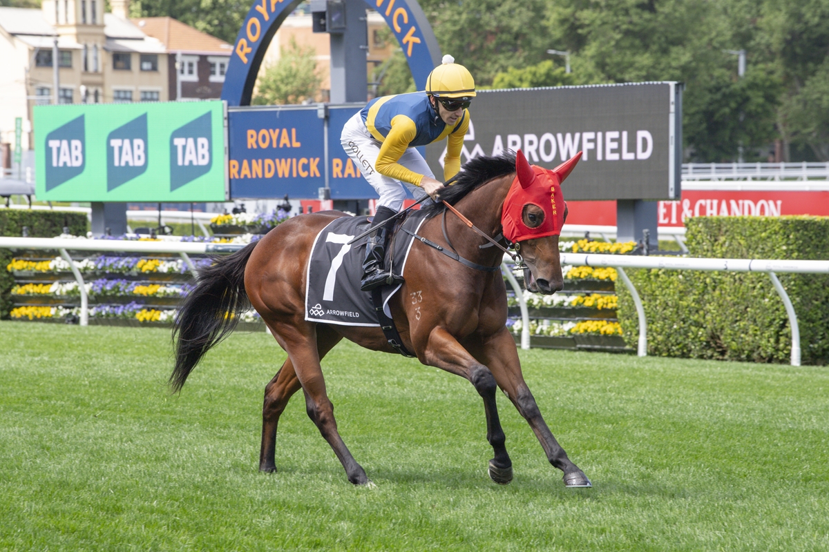 Magic Millions picture to take shape at Wyong | Just Horse Racing