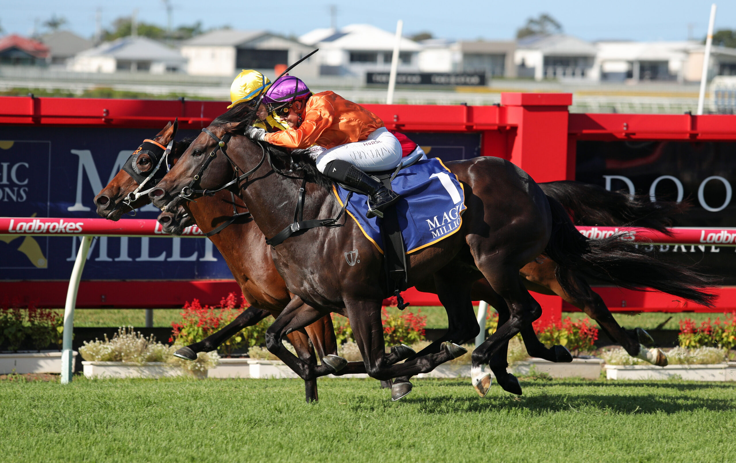 Fred Best Classic Field & Odds – 2026 | Just Horse Racing