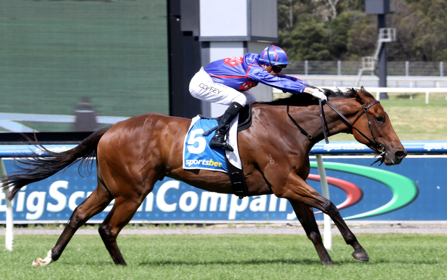 Hedged to go again in Standish Handicap | Just Horse Racing
