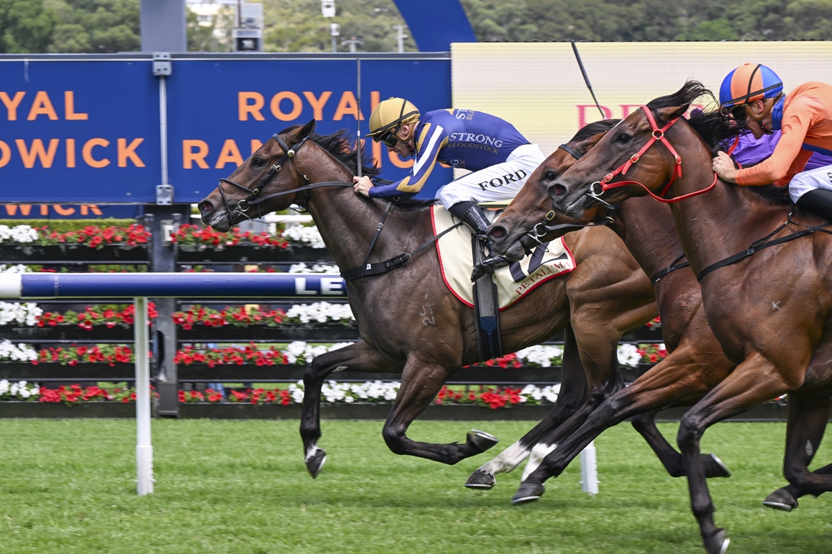Ice Kool remains unbeaten, stakes Magic Millions Sunlight claims | Just ...