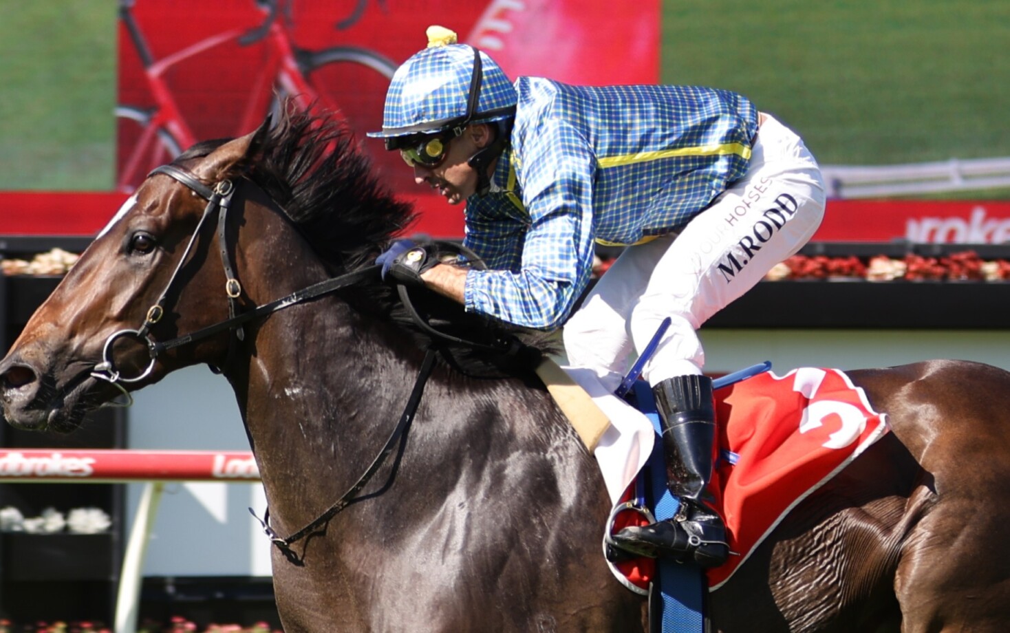 Matias’ Grand Prix win sparks Sydney carnival hopes | Just Horse Racing