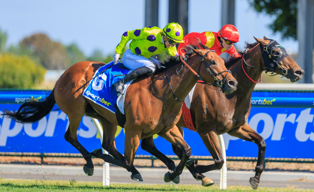 Chinqui upsets Beast Mode at Caulfield | Just Horse Racing