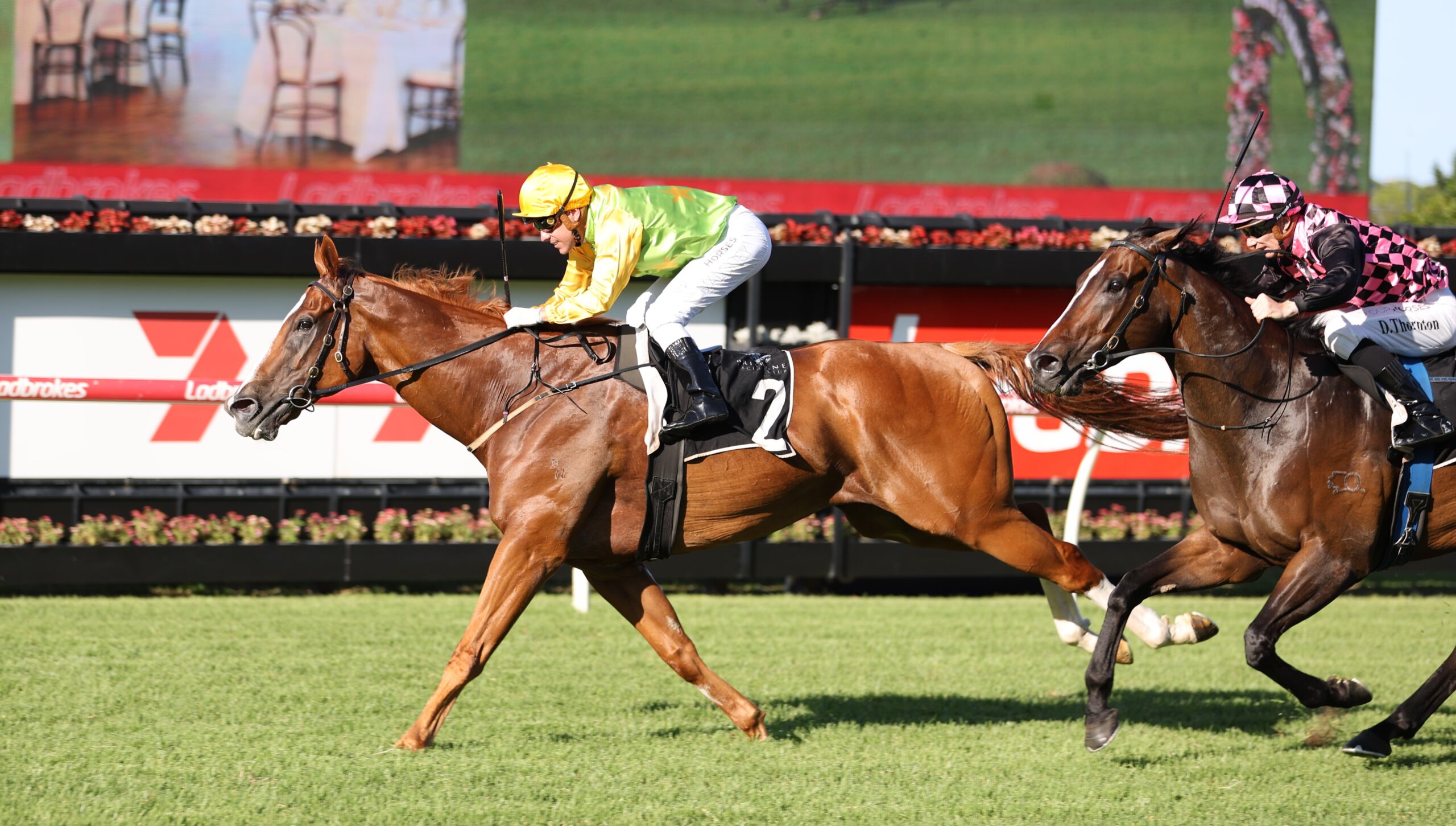 Rockribbed 2 | Just Horse Racing