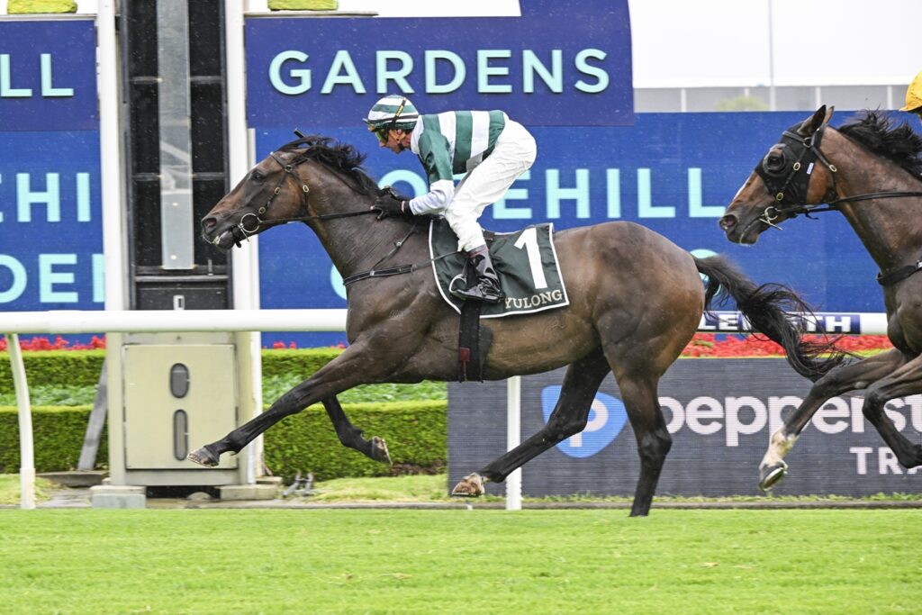 Future History a narrow Tatts Cup market elect | Just Horse Racing