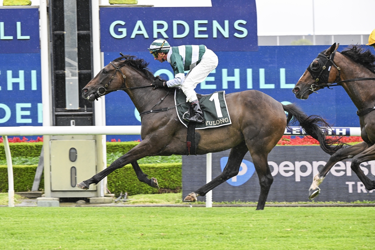 BRC Chairman’s Handicap nominations – 2026 | Just Horse Racing