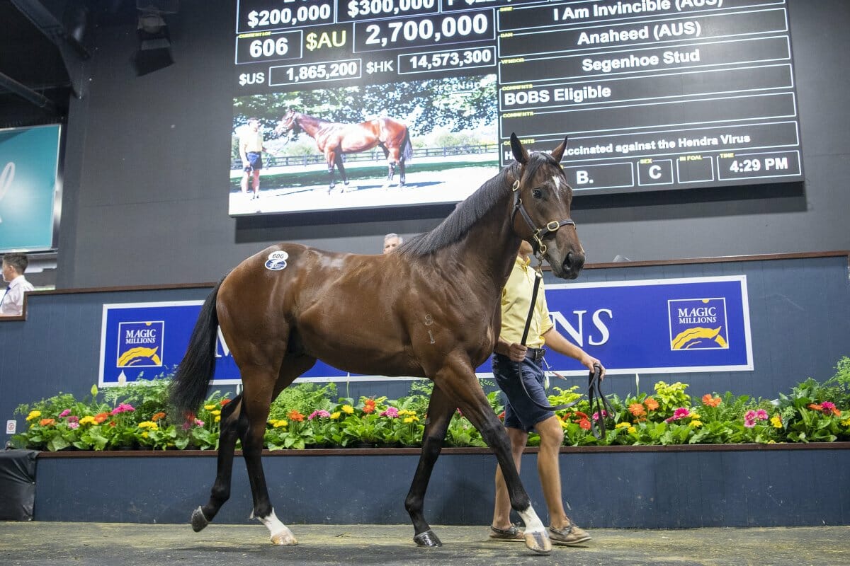 The Magic Millions 2026 has an incredible line-up | Just Horse Racing