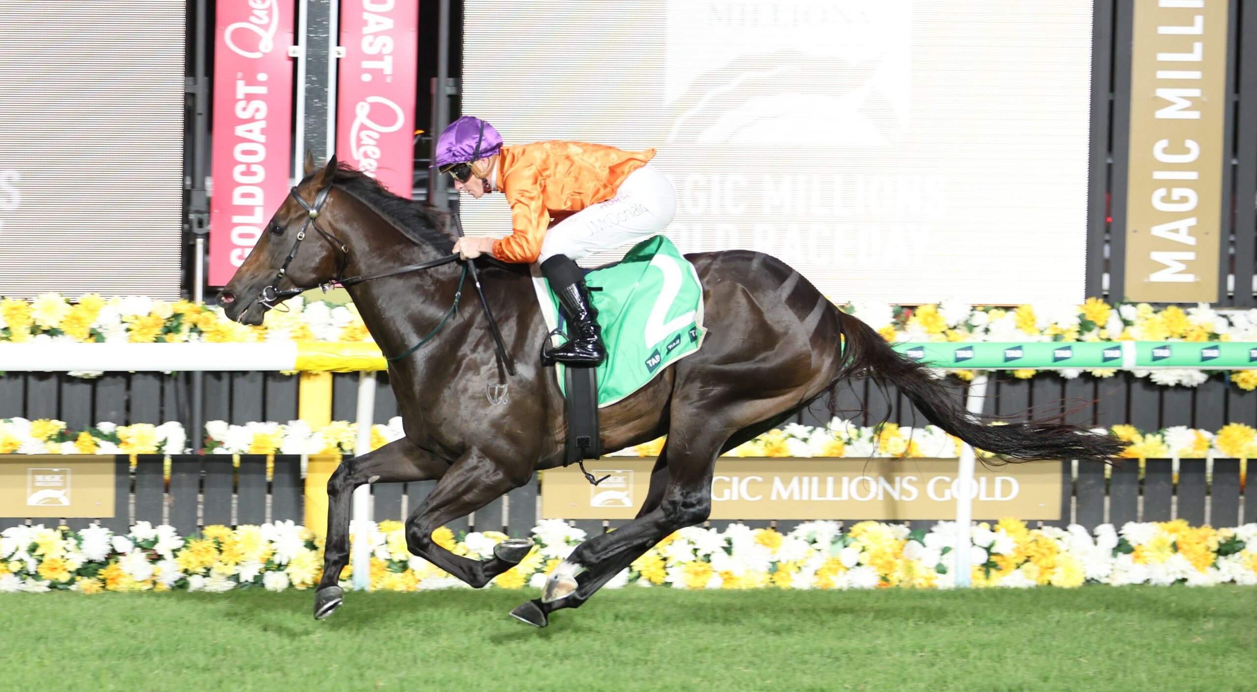 Grafterburners blasts through in Magic Millions Sunlight | Just Horse ...