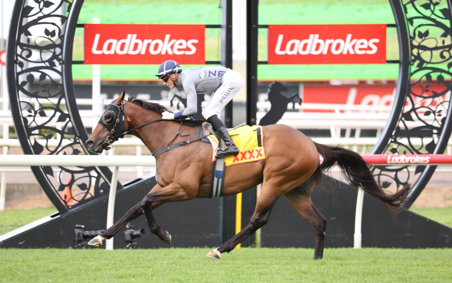 Front-running test awaits Hell in open company | Just Horse Racing