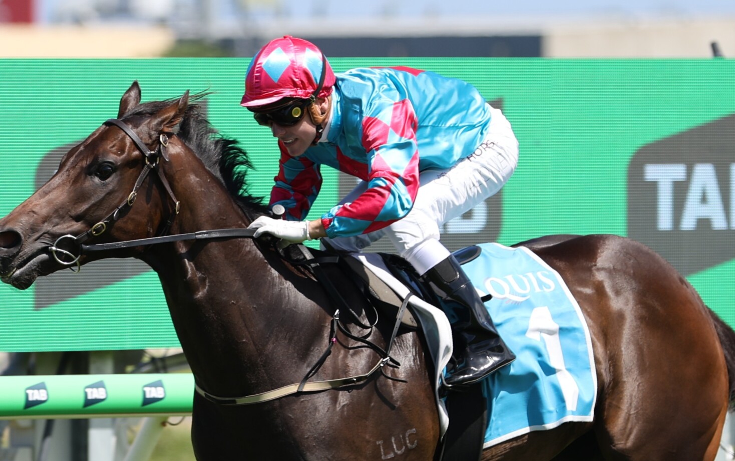 Tony Gollan’s two-year-old Itching To Go | Just Horse Racing