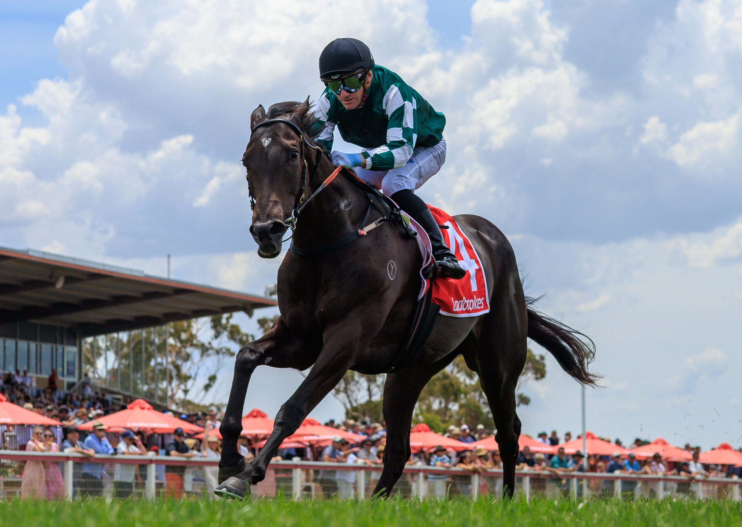 R3 Moana Spirit, ridden by Luke Currie_1298907_Courtney_ | Just Horse ...