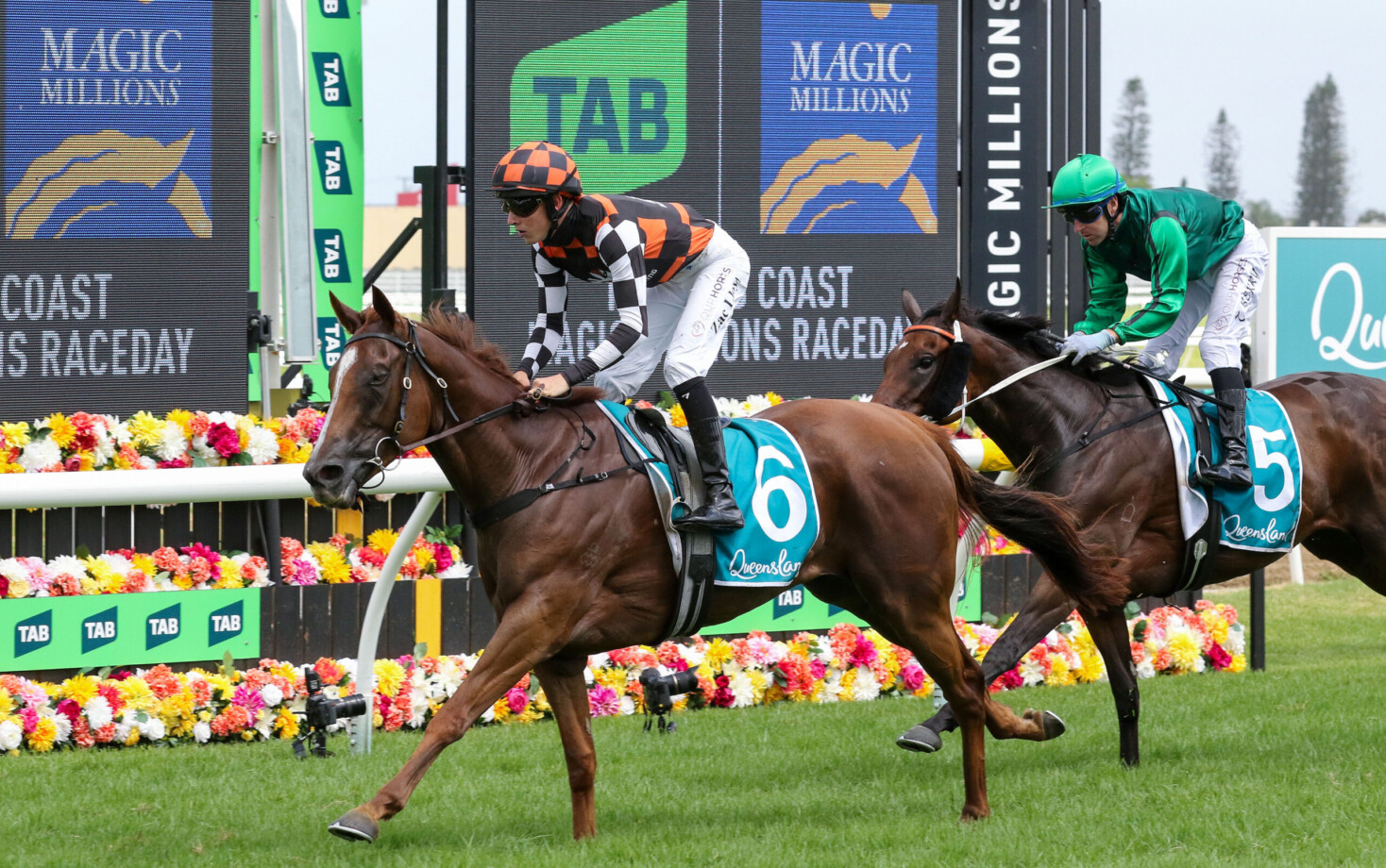 Magic Millions Fillies & Mares Mile Field & Odds – 2026 | Just Horse Racing