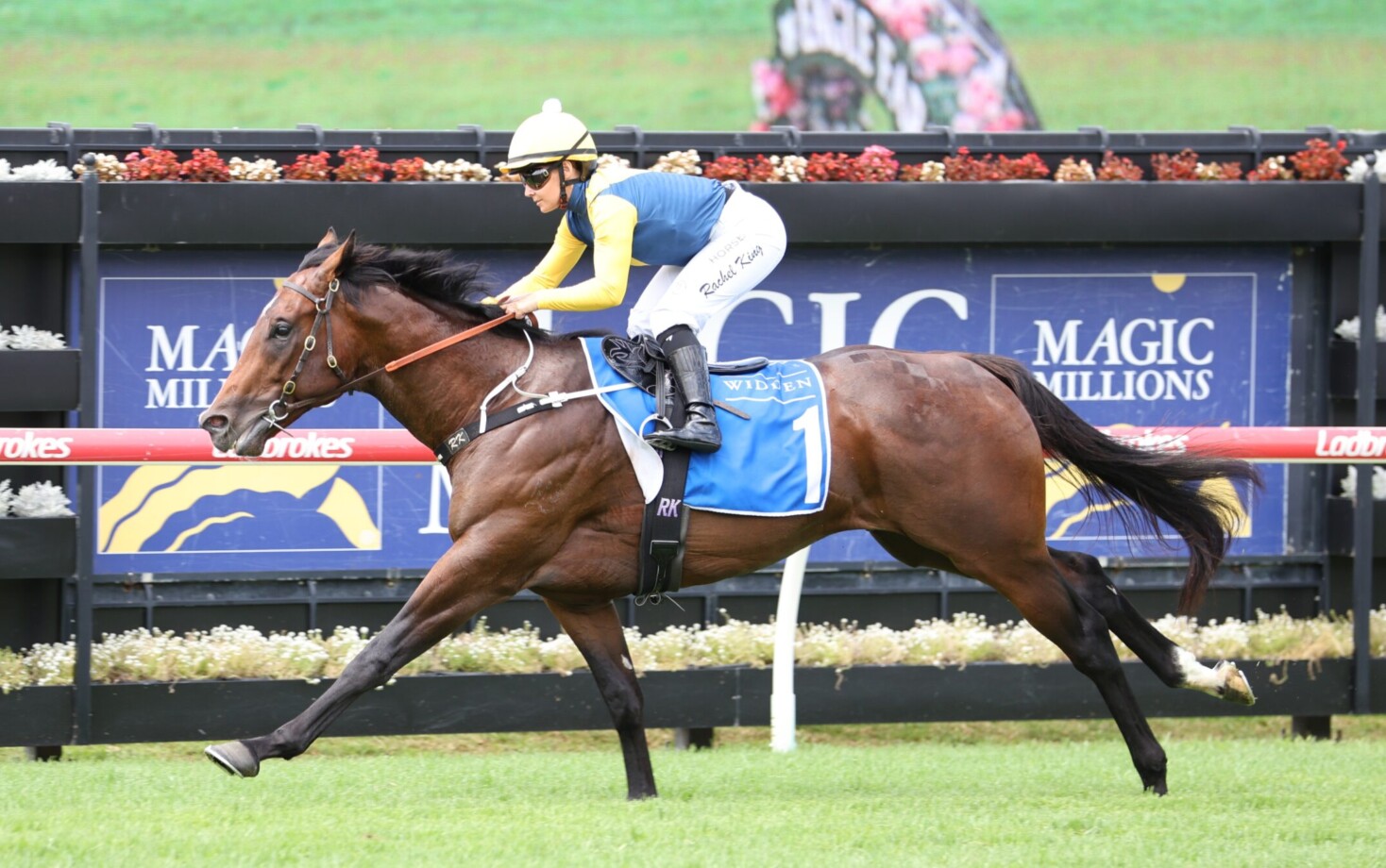 Warwoven in doubt for Magic Millions Classic | Just Horse Racing