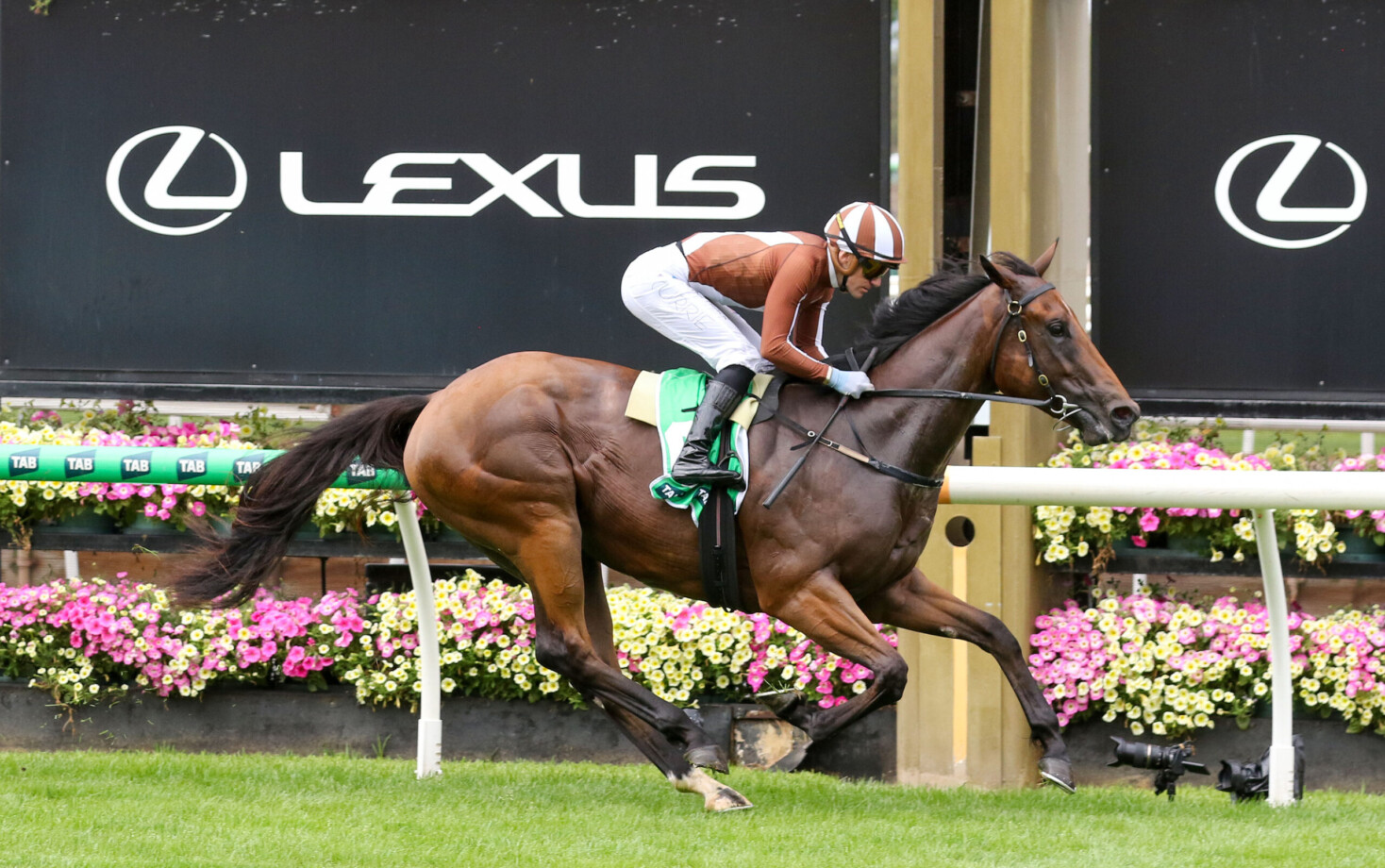 Straight experience pays off for Gin Twist | Just Horse Racing
