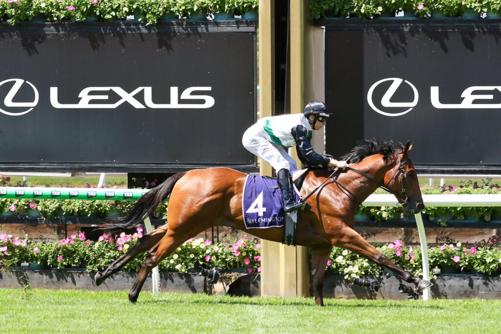 Wide gates test Hayes duo in Blue Diamond Stakes bid | Just Horse Racing