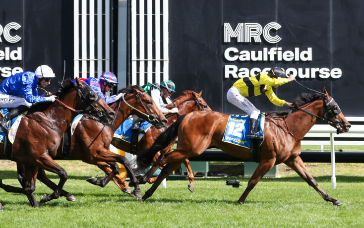 Streisand on song in Blue Diamond Stakes | Just Horse Racing