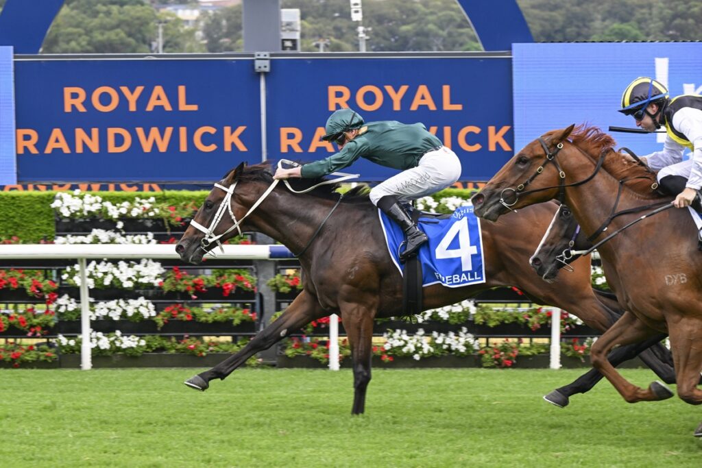 Fireball explodes to win Inglis Millennium | Just Horse Racing