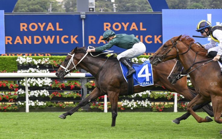 James McDonald free to ride on Silver Slipper Day | Just Horse Racing