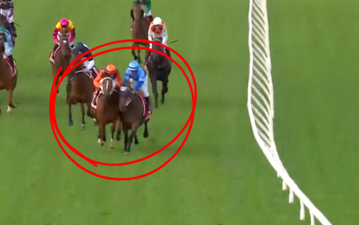 Watch 📺 Luke Nolen suspended over ugly post-race incident | Just Horse ...