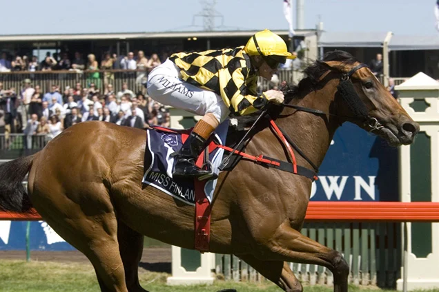 Champion mare Miss Finland dies aged 22 | Just Horse Racing