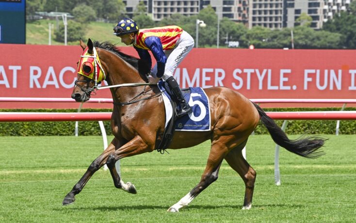 Wide draw in Lord Reims Stakes not ideal for Mr Waterville | Just Horse ...