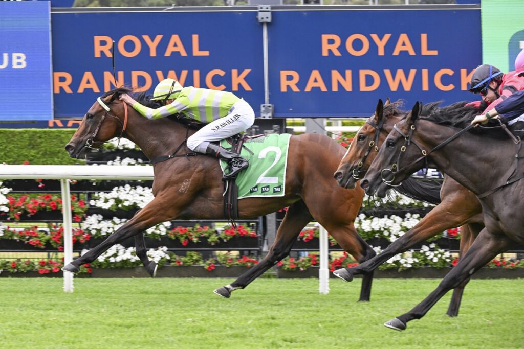 Brad Widdup keeps open mind on Surround Stakes tactics | Just Horse Racing