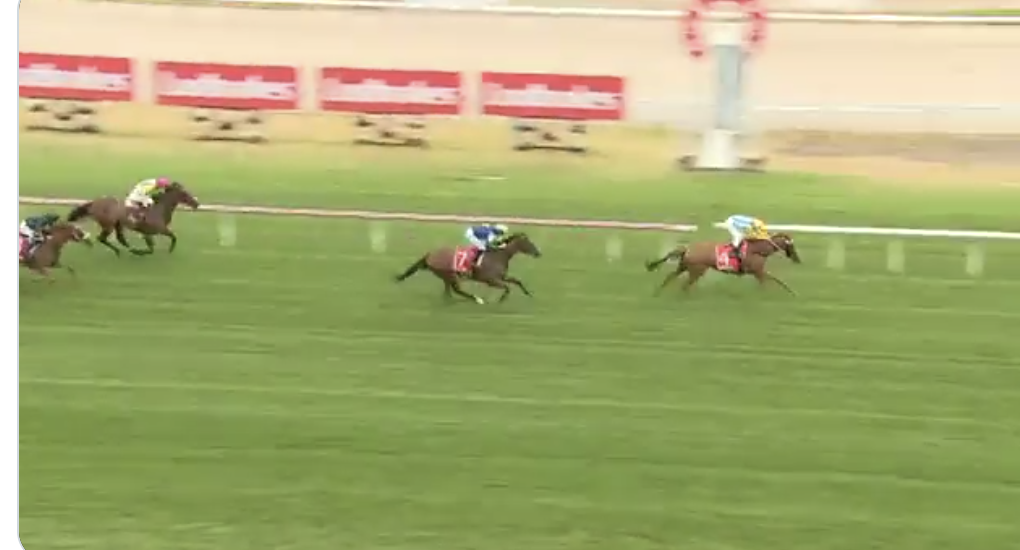 Strutt Stakes results and replay – (Daytona Diva) 2026 | Just Horse Racing